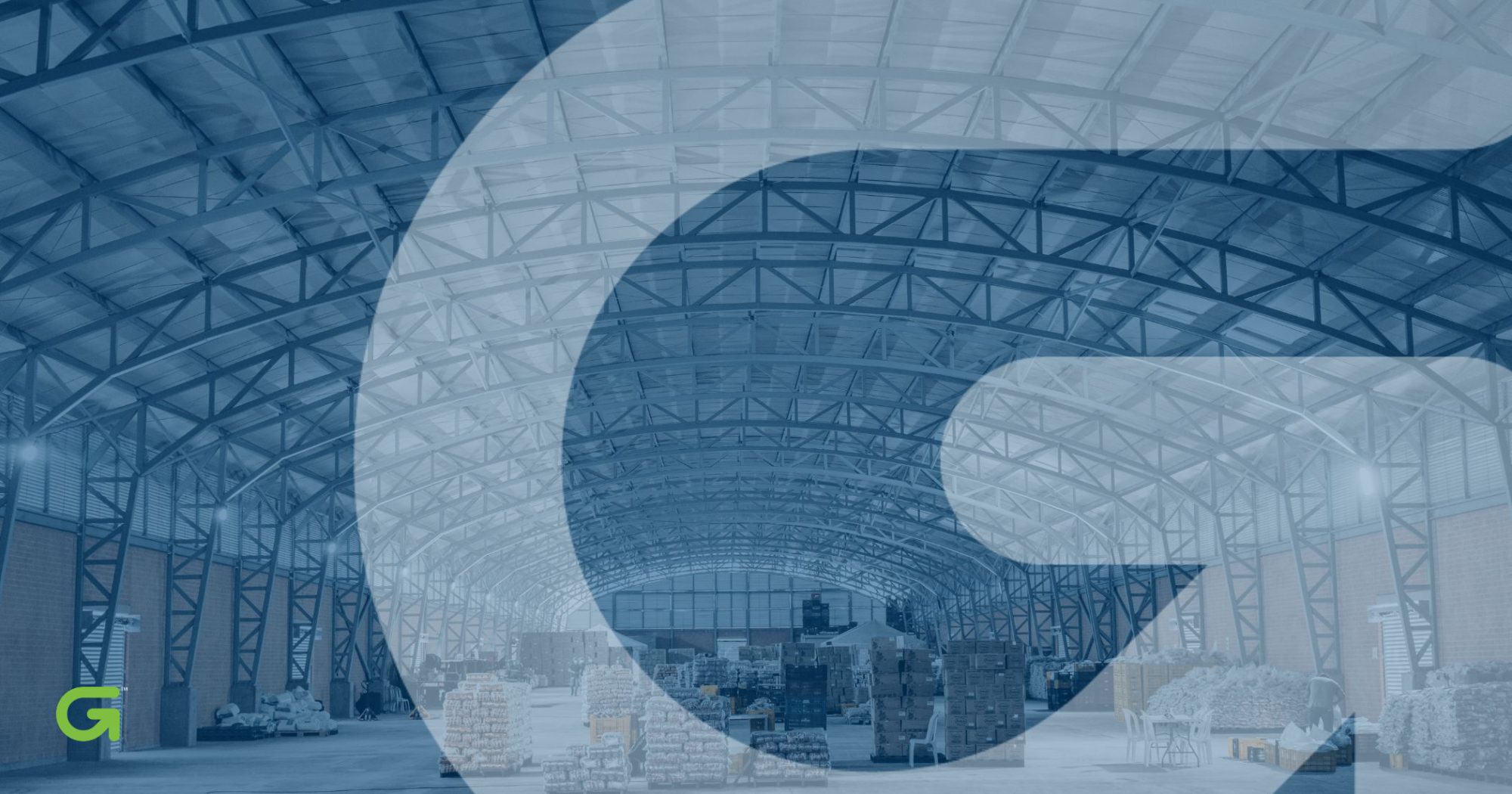 Future-Proof Your Packaging: Why Greenbridge Is Your Go-To Partner in ...